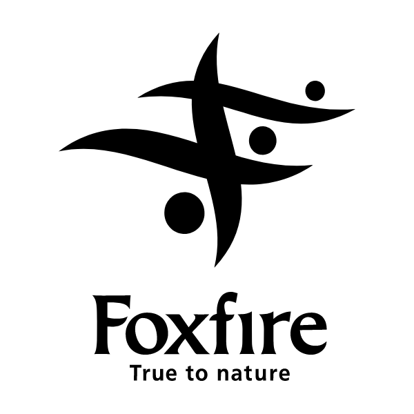 Foxfire In Nature
